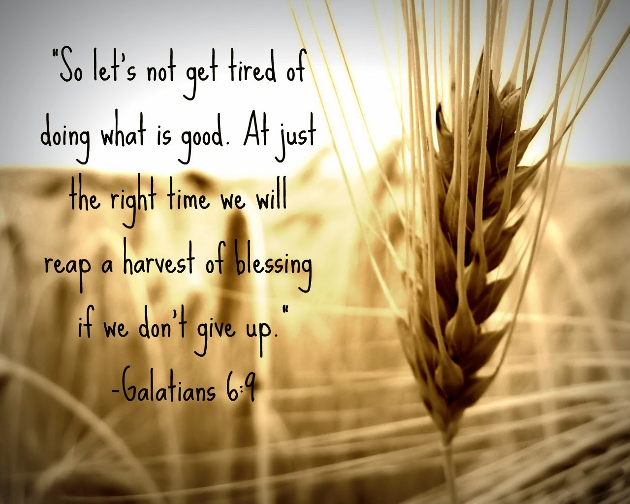 Harvest Of Blessing ~ Galatians 6:9: Six.