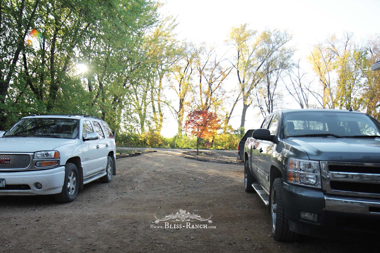 Bliss Ranch: #1 Son Monthly New House Update