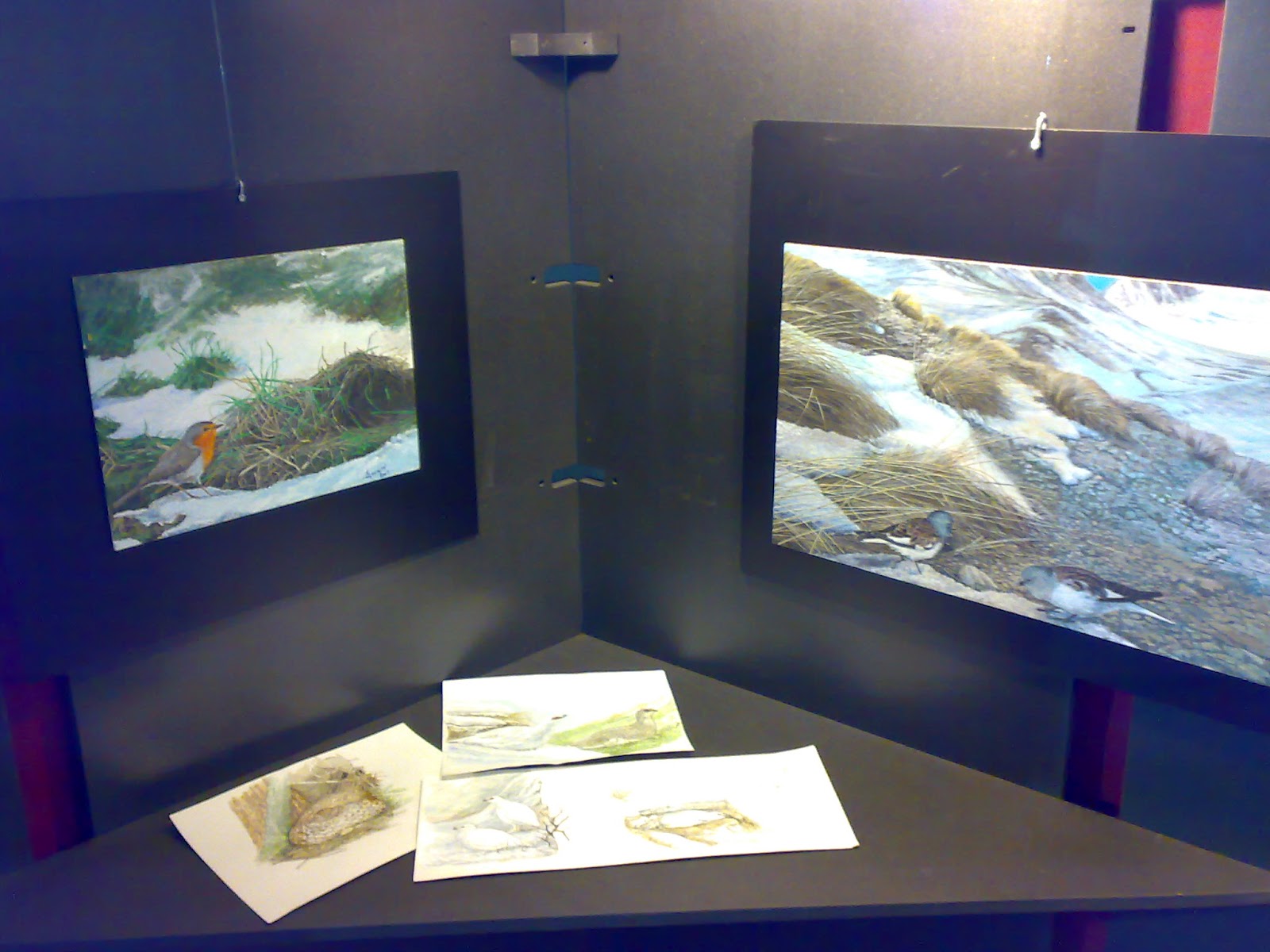 Alessandro Sacchetti - Wildlife Painter: La tappa della mostra "in ...