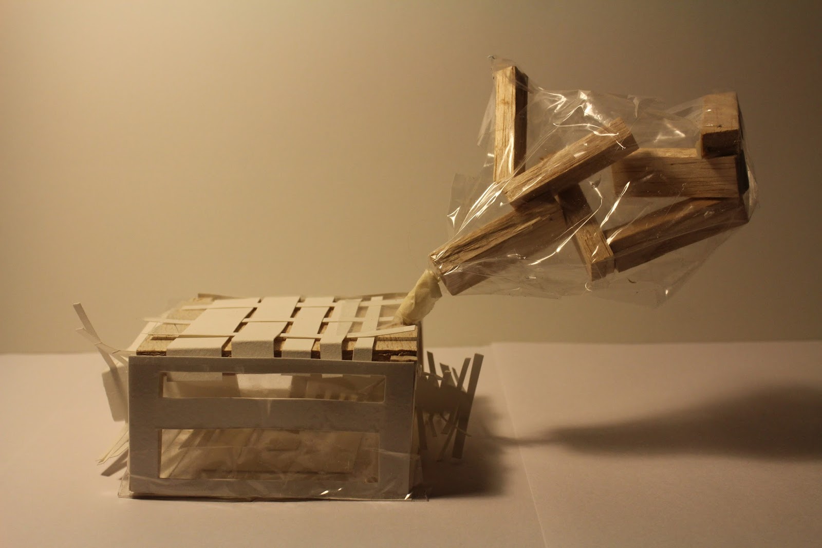 Kayla Taylor: Balsa Wood & Paper Sculptures