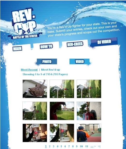 REVIVE REV-CUP BATTLE OF THE STATES : MY ENTRY ~ TRISTUPE.COM