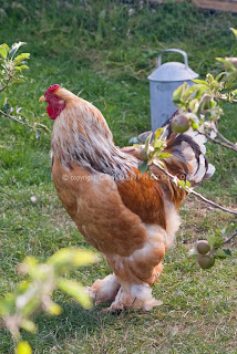 Midknight Review -- new and revised: Ever heard of post-modernism? Well ...