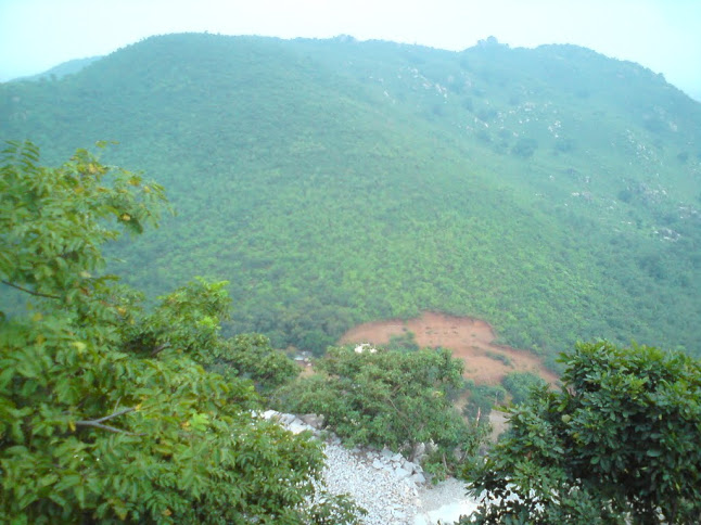 Mahuri - JungleKey.in Image #50