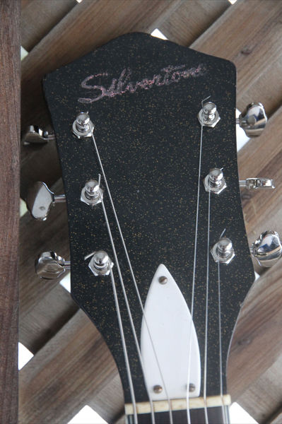 Canadian Vintage Guitar Hunt: 1960 SILVERTONE 1423 Electric Guitar