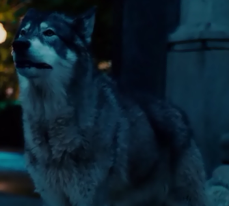 OOOHHH YEAH!: Zookeeper (2011)