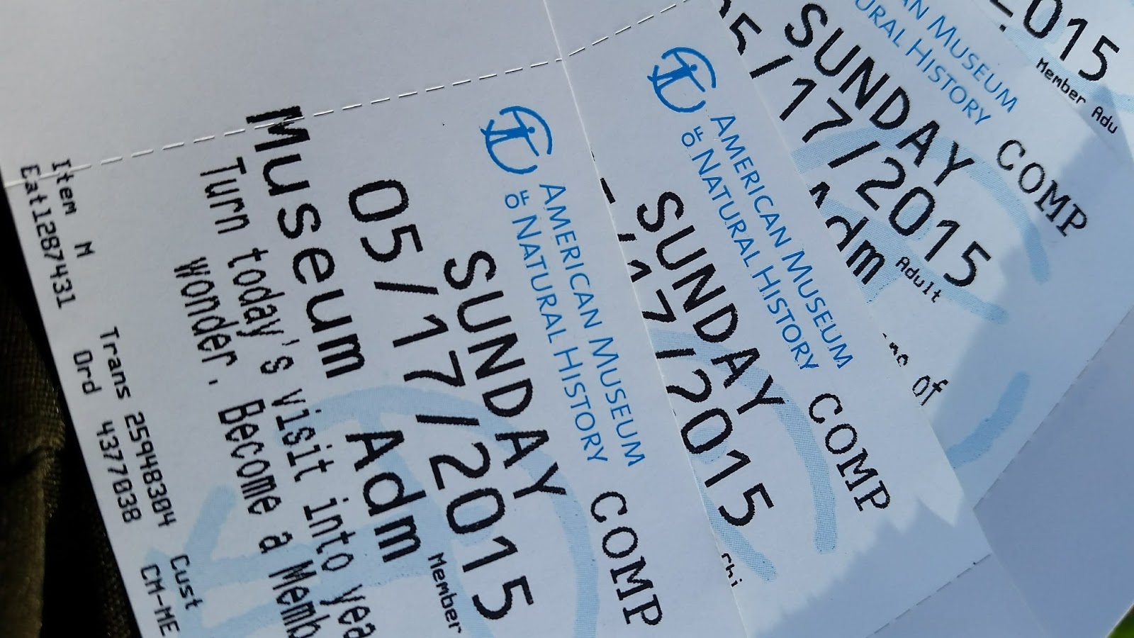 My Purple World : Welcome to the American Museum of Natural History in ...