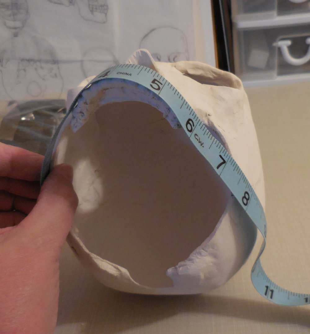 Creative Paperclay® air dry modeling material: Simplified Skull Model ...