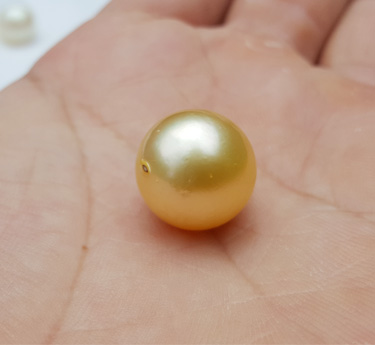 Konsep Baru Harga Mutiara Hitam Air Laut, Konsep Terpopuler!