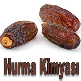 Hurma Kimyası | Aktuel Kimya