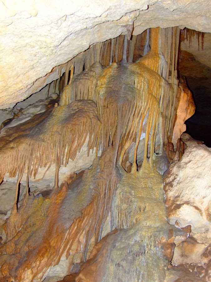 Meander to the Max: The Wonambi Fossil Centre and the Alexandra Cave