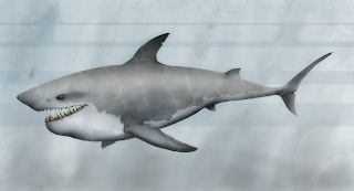 Toast: Sharky Shark Shark