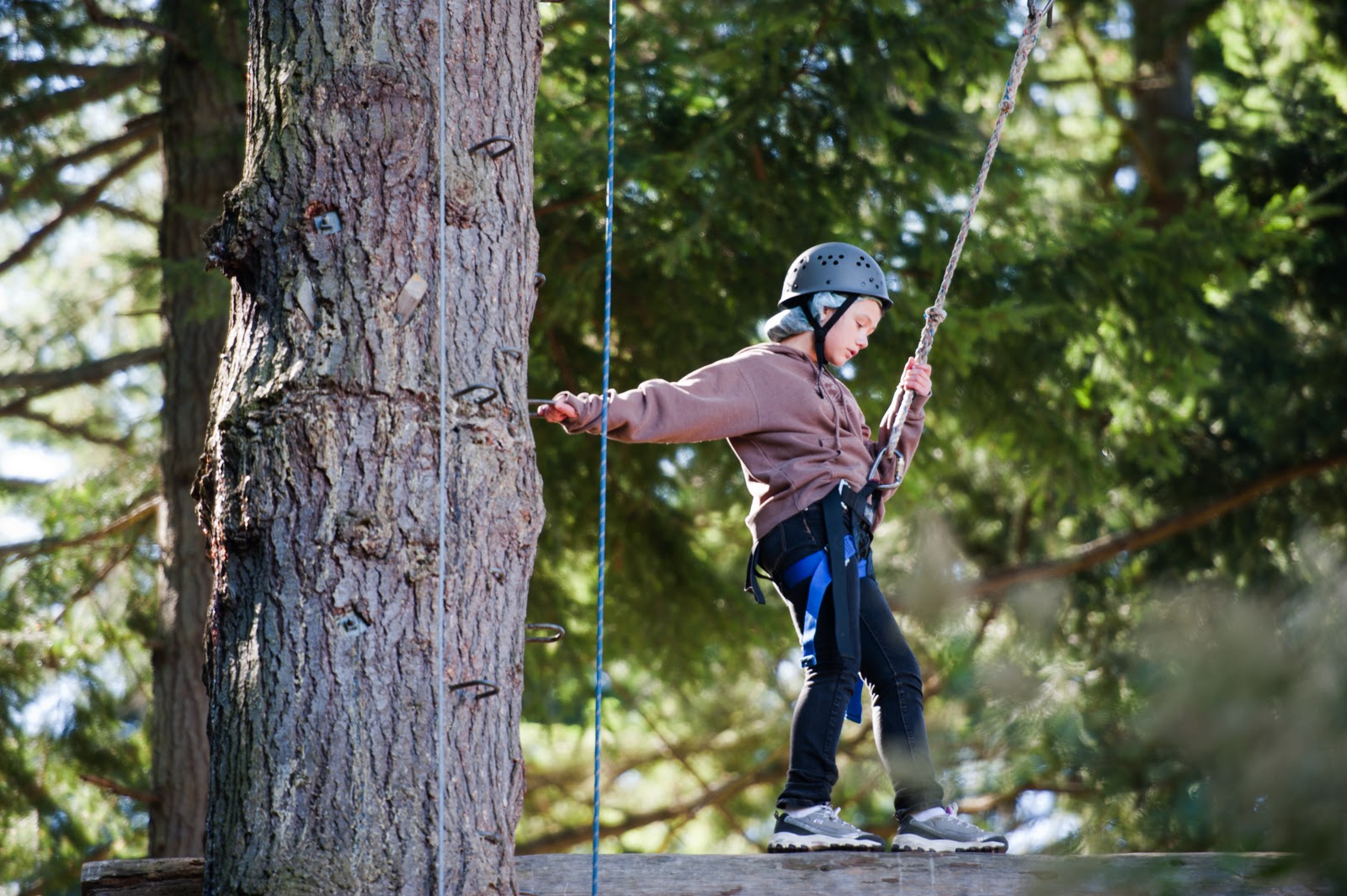 YMCA Camp Orkila: The Blog: High Ropes