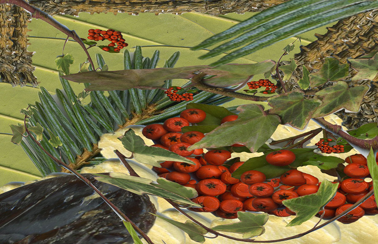 Dope Art By egavelin: Project 3: Surreal Compositions with Natural Objects