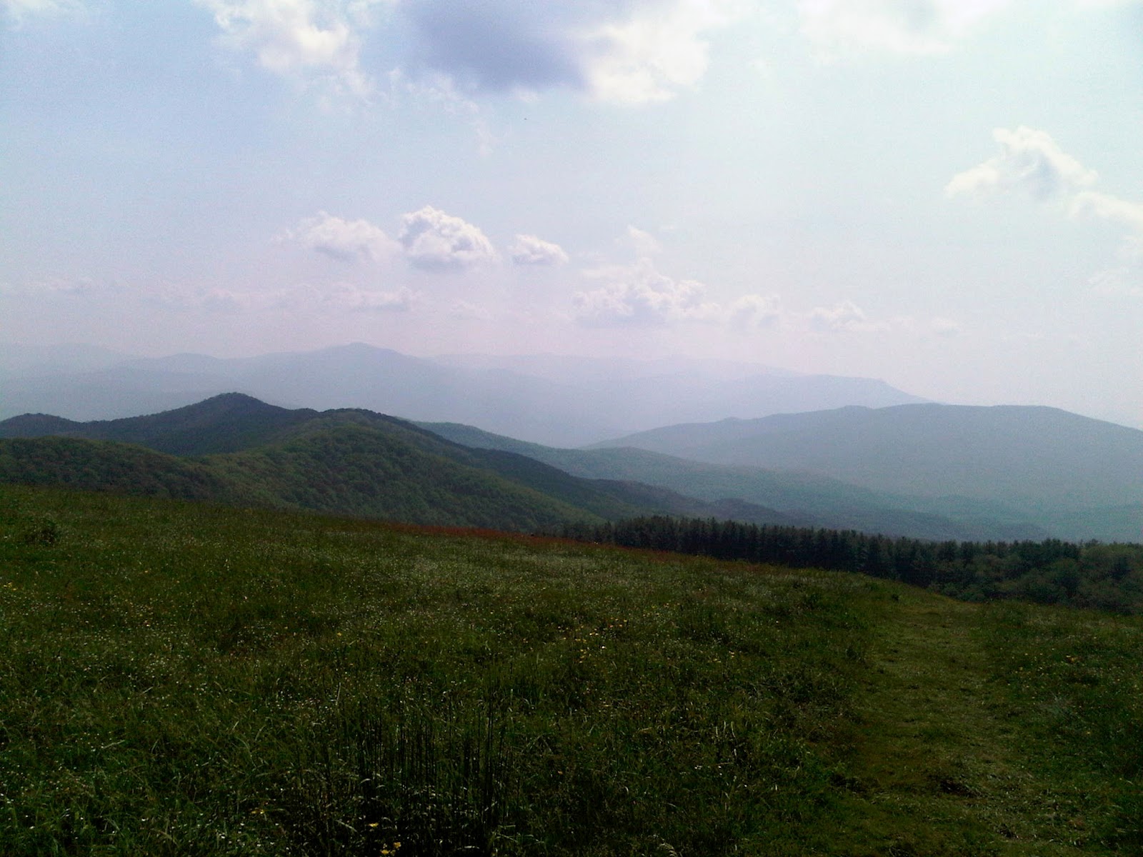 NC BACKCOUNTRY: Max Patch