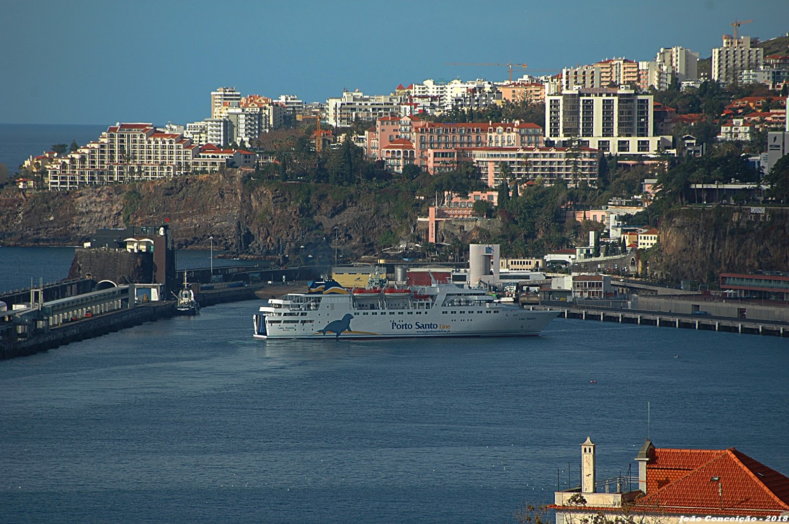 O Mar do Porto Santo: Lobo Marinho retoma viagens