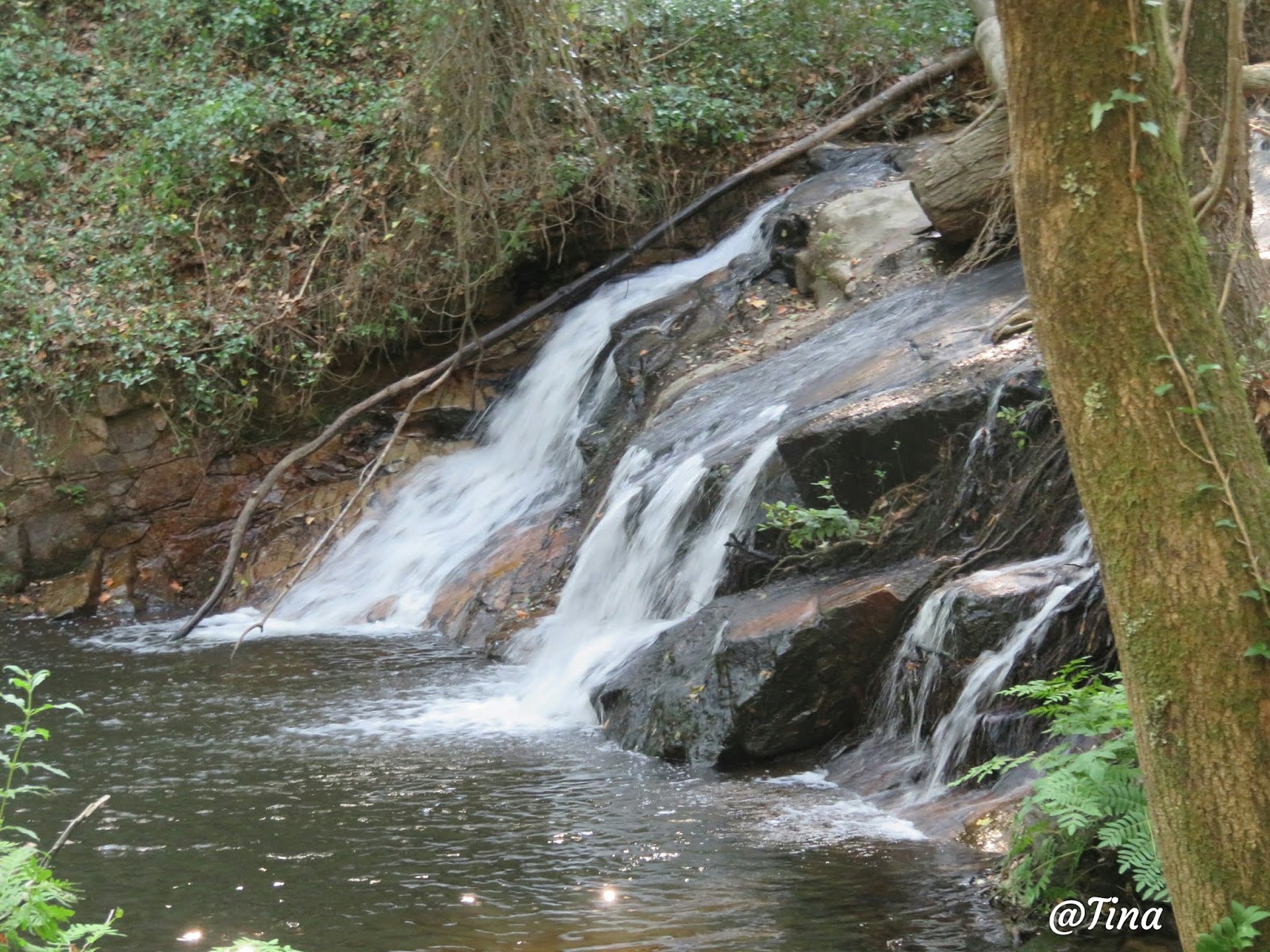 PARC MEDIAMBIENTAL DE GUALBA
