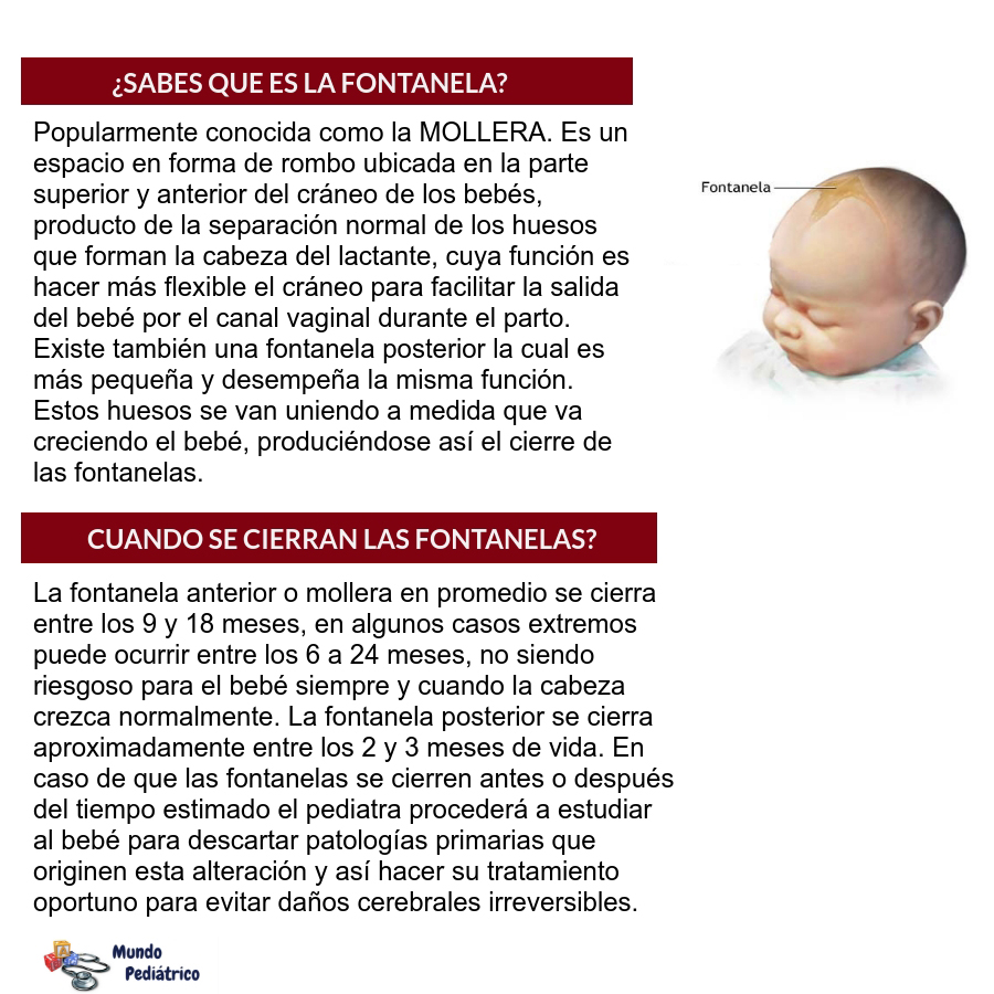 ¿SABES QUE ES LA FONTANELA? ~ MUNDO PEDIÁTRICO
