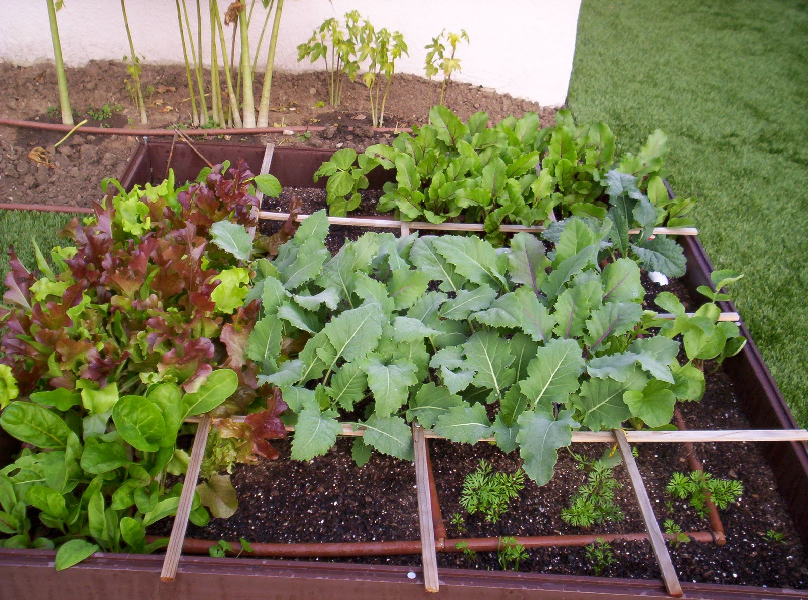 2018 Mar Vista Green Garden Showcase: 3558 Military Avenue