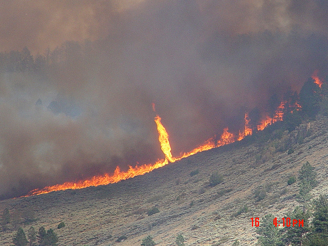 The Fire Whirl – Nature’s Fiery Funnel