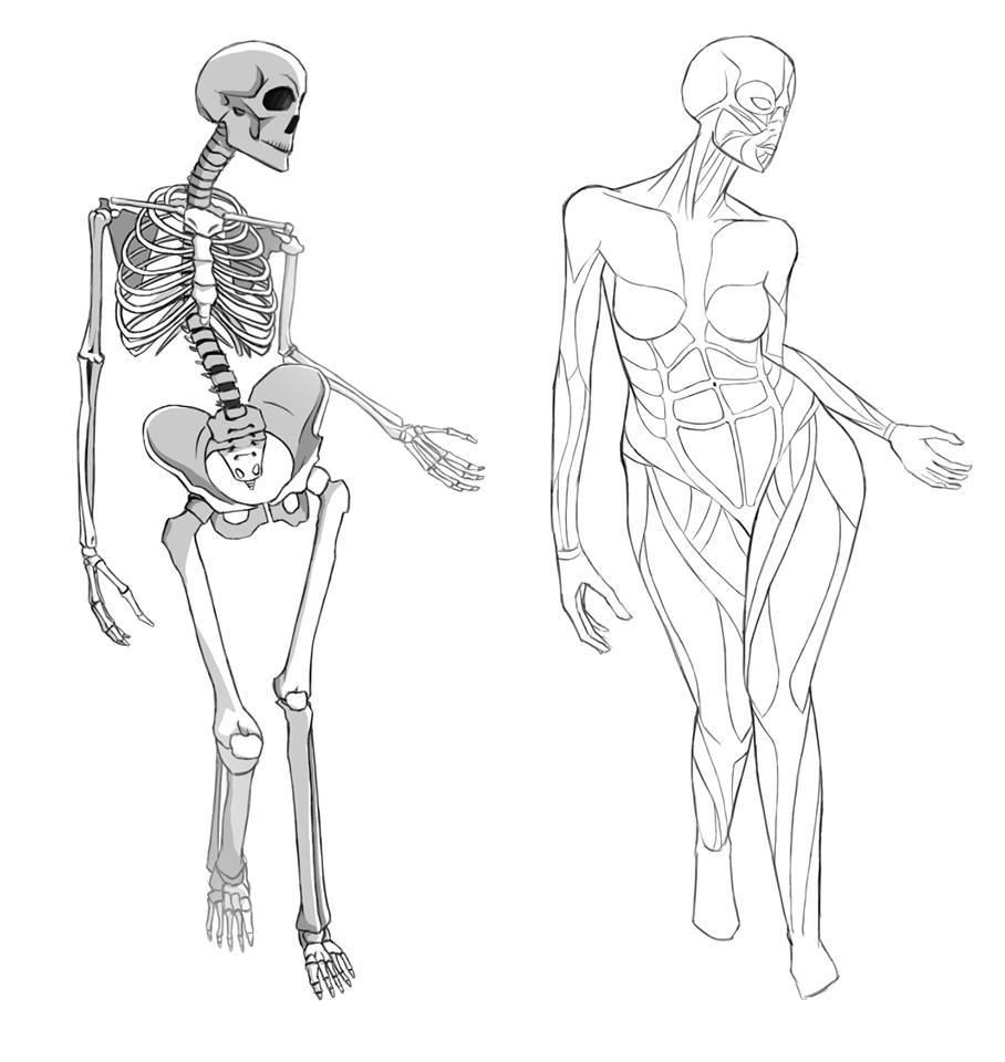 CG Protege Animation School: Character Design Course Batch 1, Part 1 ...