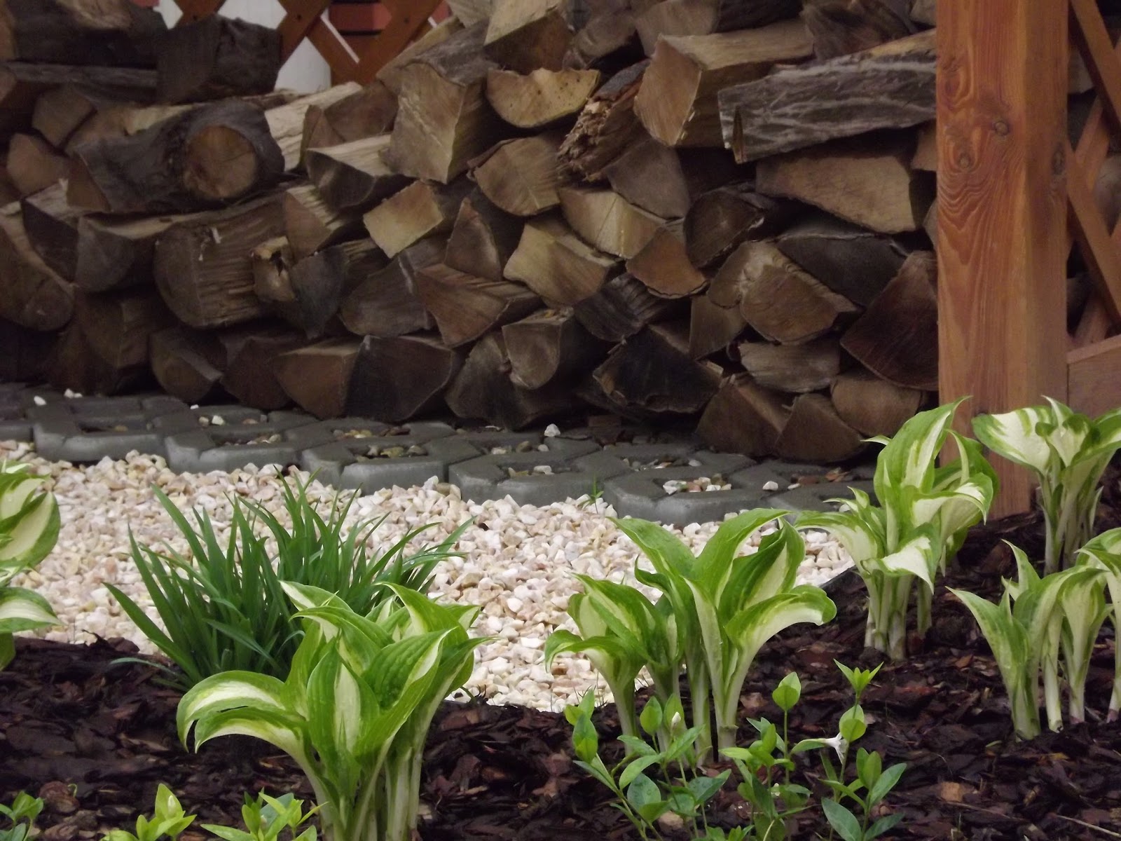 Homemaking is hot!: Robimy sami ścieżkę z kamyków. Rabatka w cieniu.