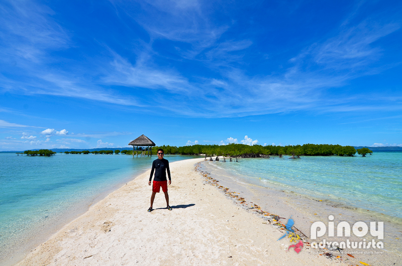 MASBATE CITY TOURIST SPOTS: Buntod Reef Marine Sanctuary and Sandbar ...