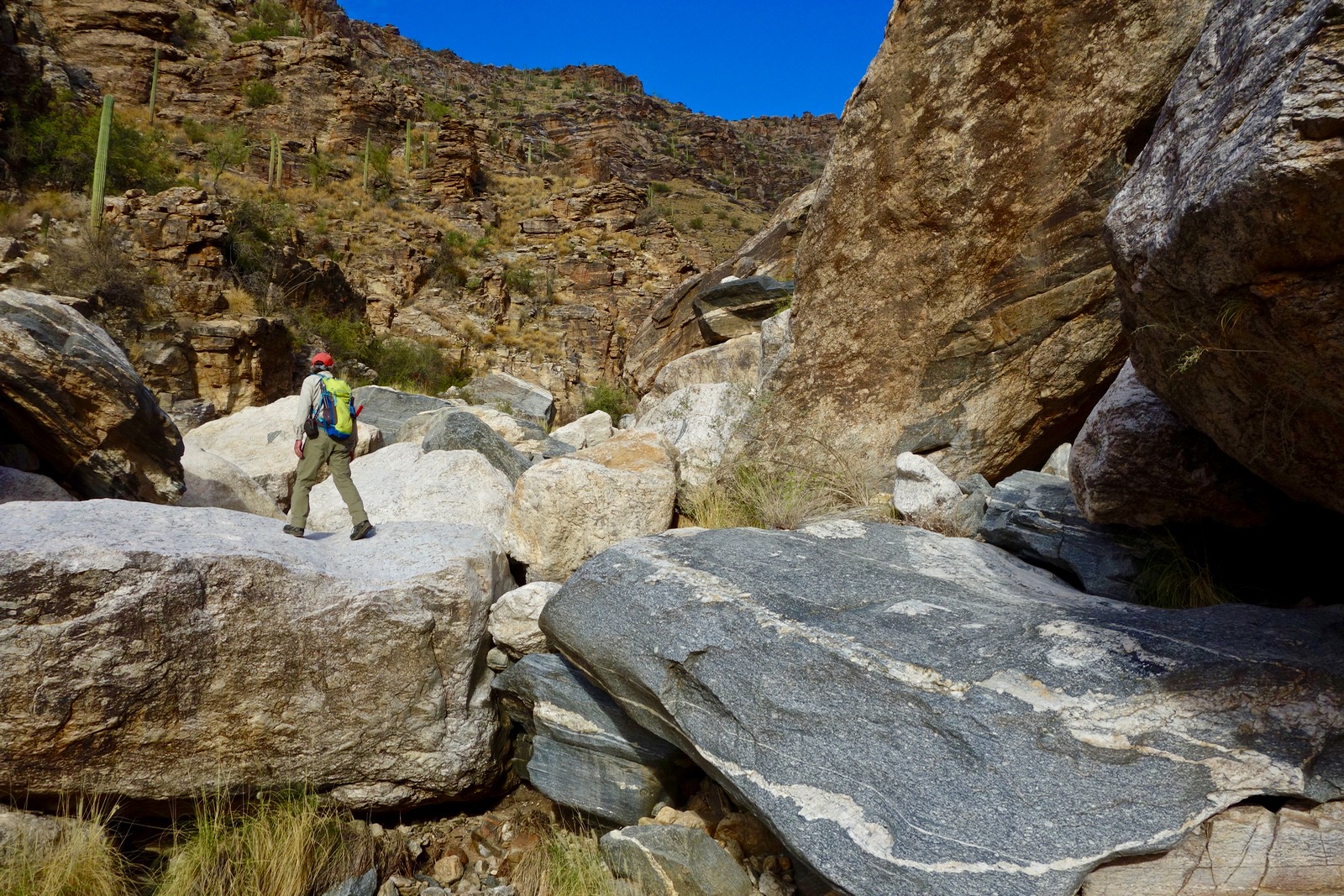 Earthline: The American West: Soldier Canyon, Pusch Ridge Wilderness
