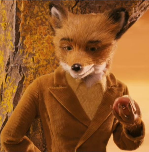 Princess Ganga Writes: Roald Dahl, You Win Again. ~ Fantastic Mr. Fox.
