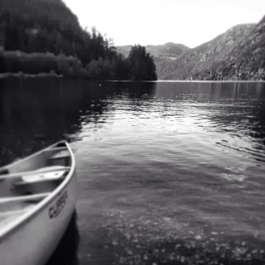 getty images and pictures: Most Interesting Photos and Wallpapers