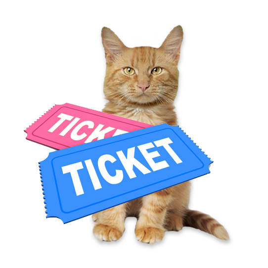 GLOGIRLY: Blind Cat Rescue RAFFLE!