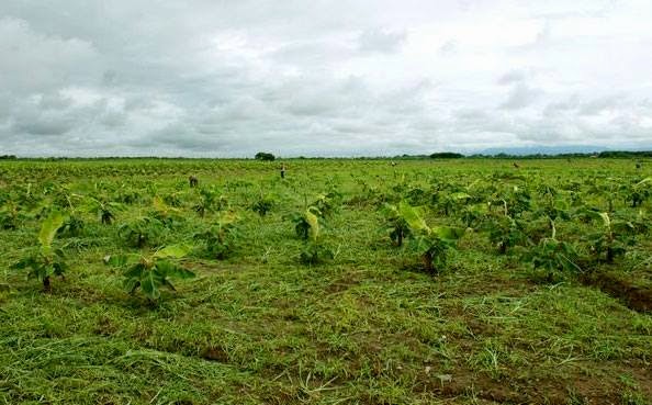 All About Agriculture, Animal Husbandry, Crop Production: OWN A ...