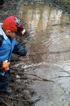 12 Puddle Play Investigations | Creative STAR Learning | I'm a teacher ...