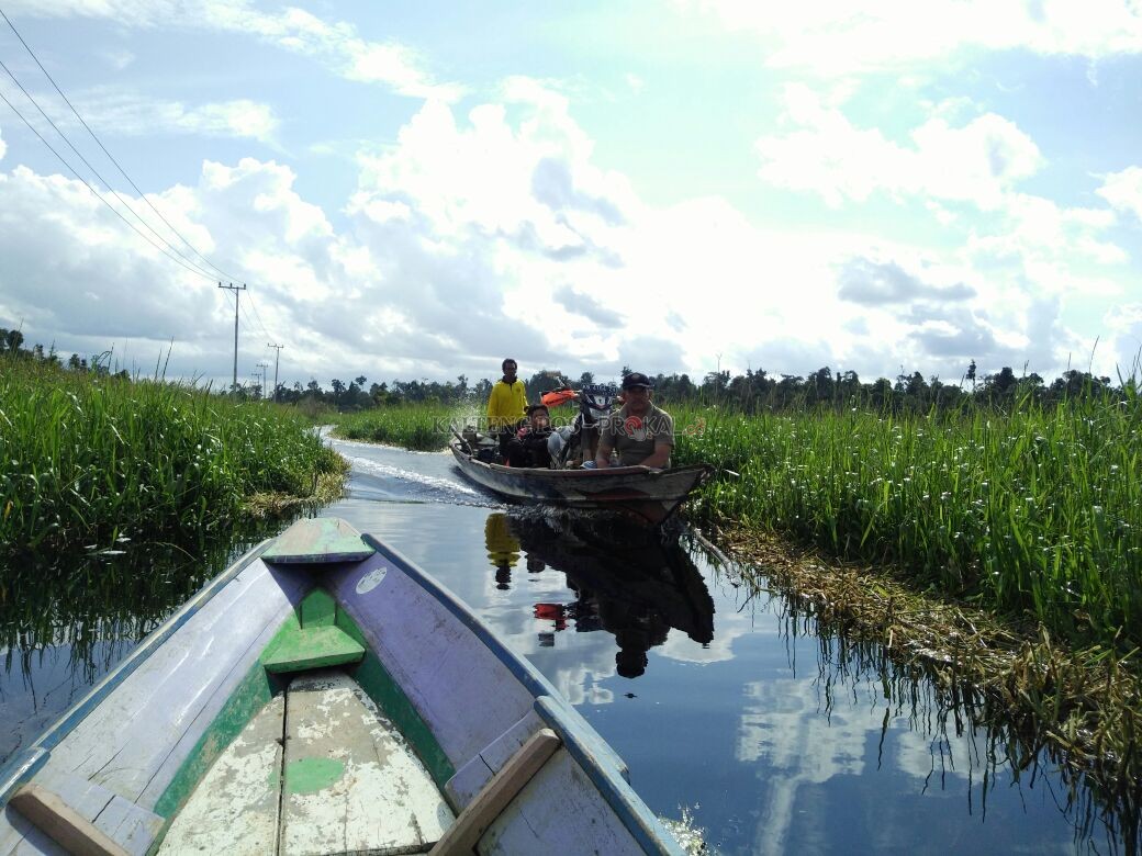 makalah: Danau dan Rawa di Indonesia (pengertian danau dan rawa, contoh ...