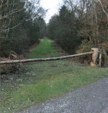 Public Transport Experience: Bordon on the Border [1]