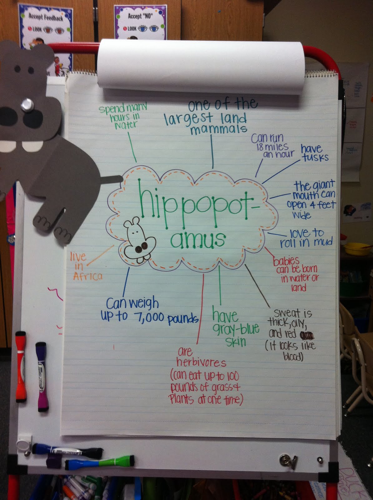 Welcome to Room 36!: Hippos and other things