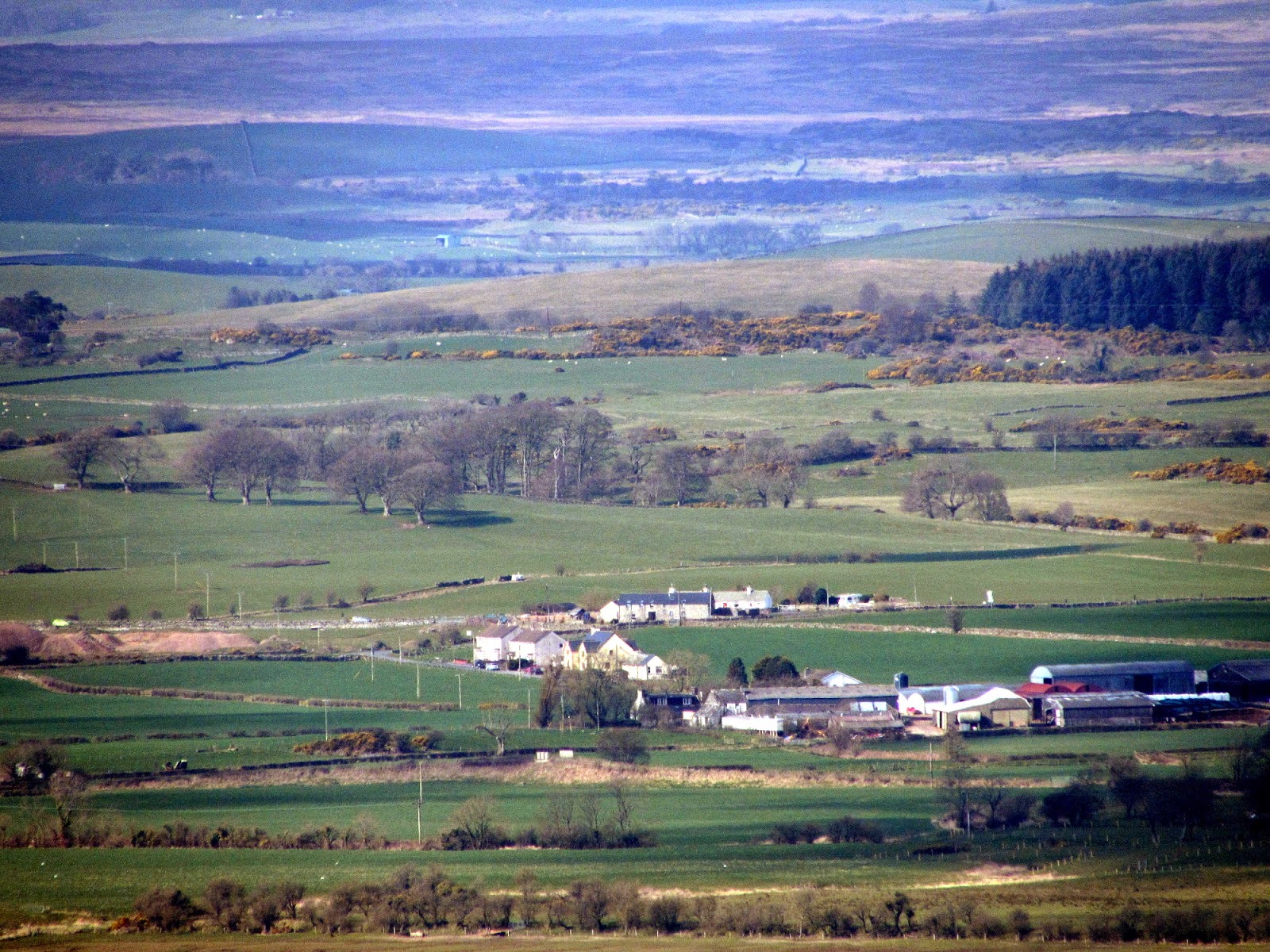 The Glebe Blog: Creetown to Kirkmabreck Quarry - Wigtown Walks and Talks