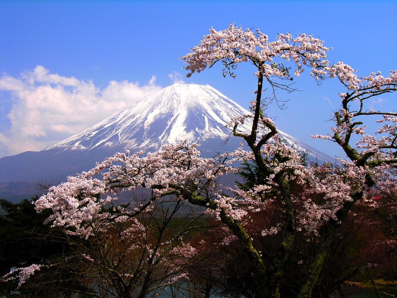 Paisajes del japon - Imagui