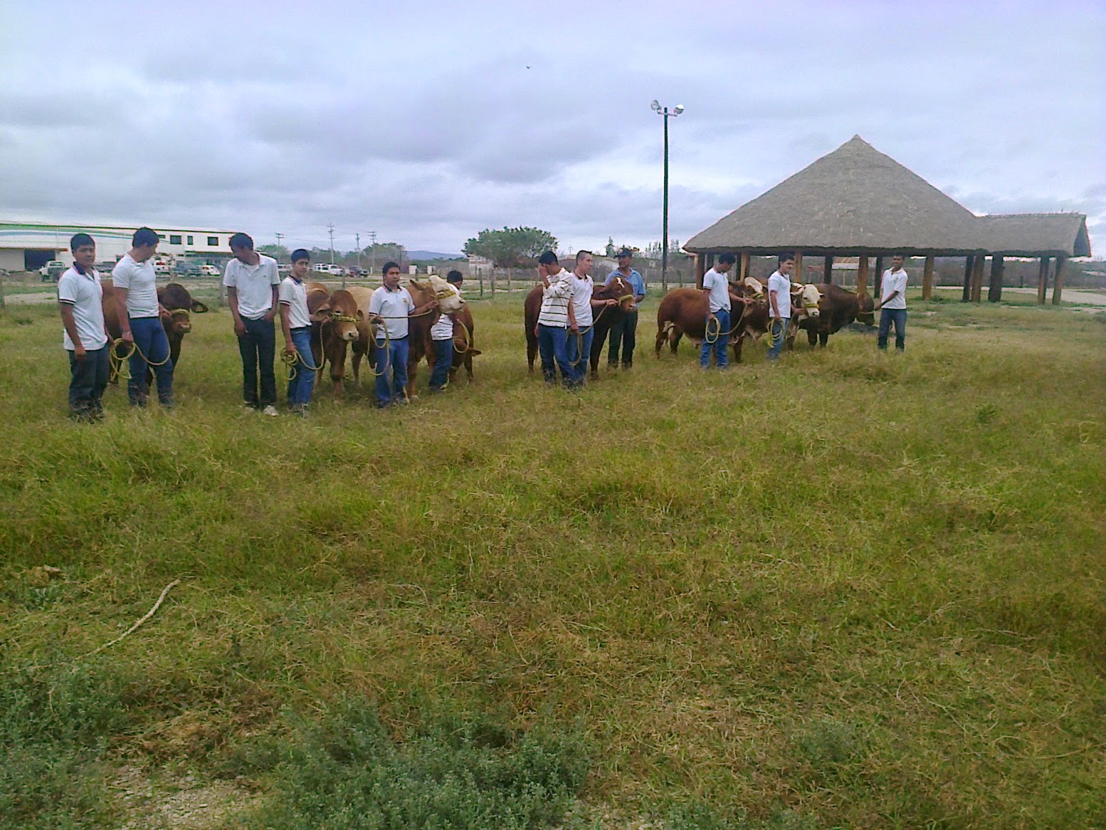 Modulo III Maneja Especies Pecuarias: 2014