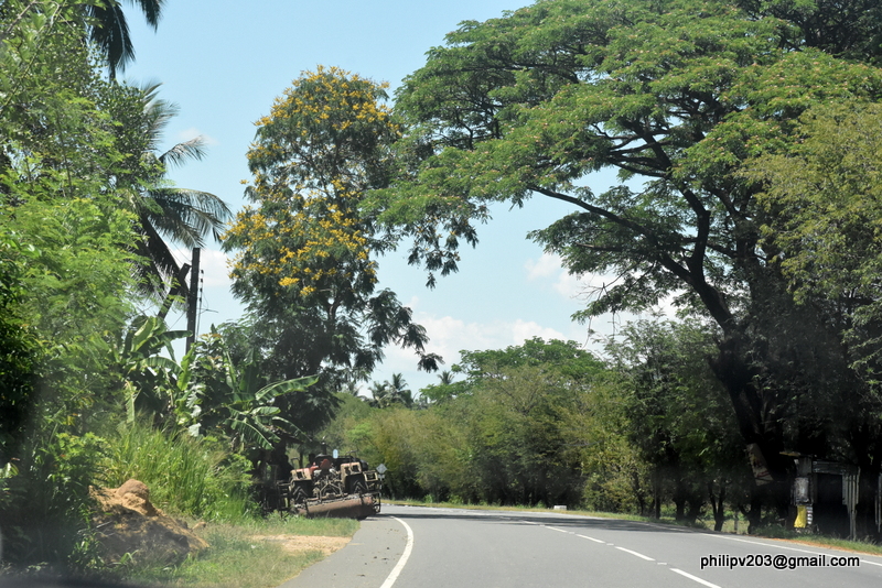 Images of Sri Lanka on blogspot.com: Hasalaka and beyond, Sri Lanka.