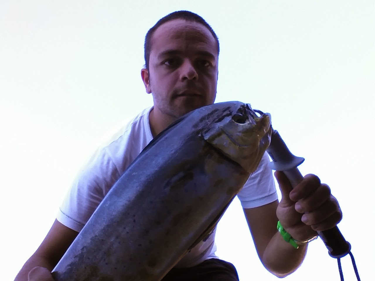 Sa roketa pesca: Llampugas desde la Costa Mallorquina en Octubre