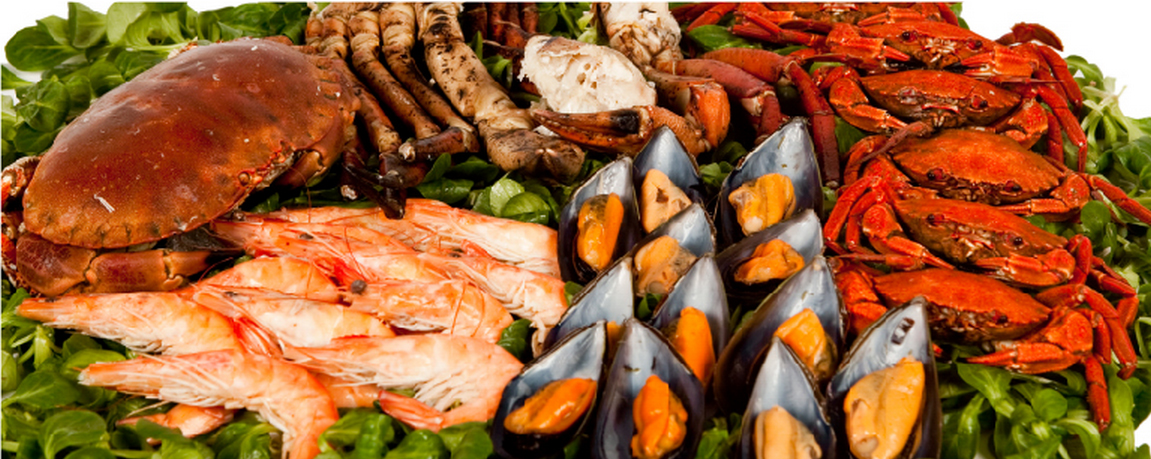 pescado congelado, marisco congelado: El producto del mes: Mariscada ...