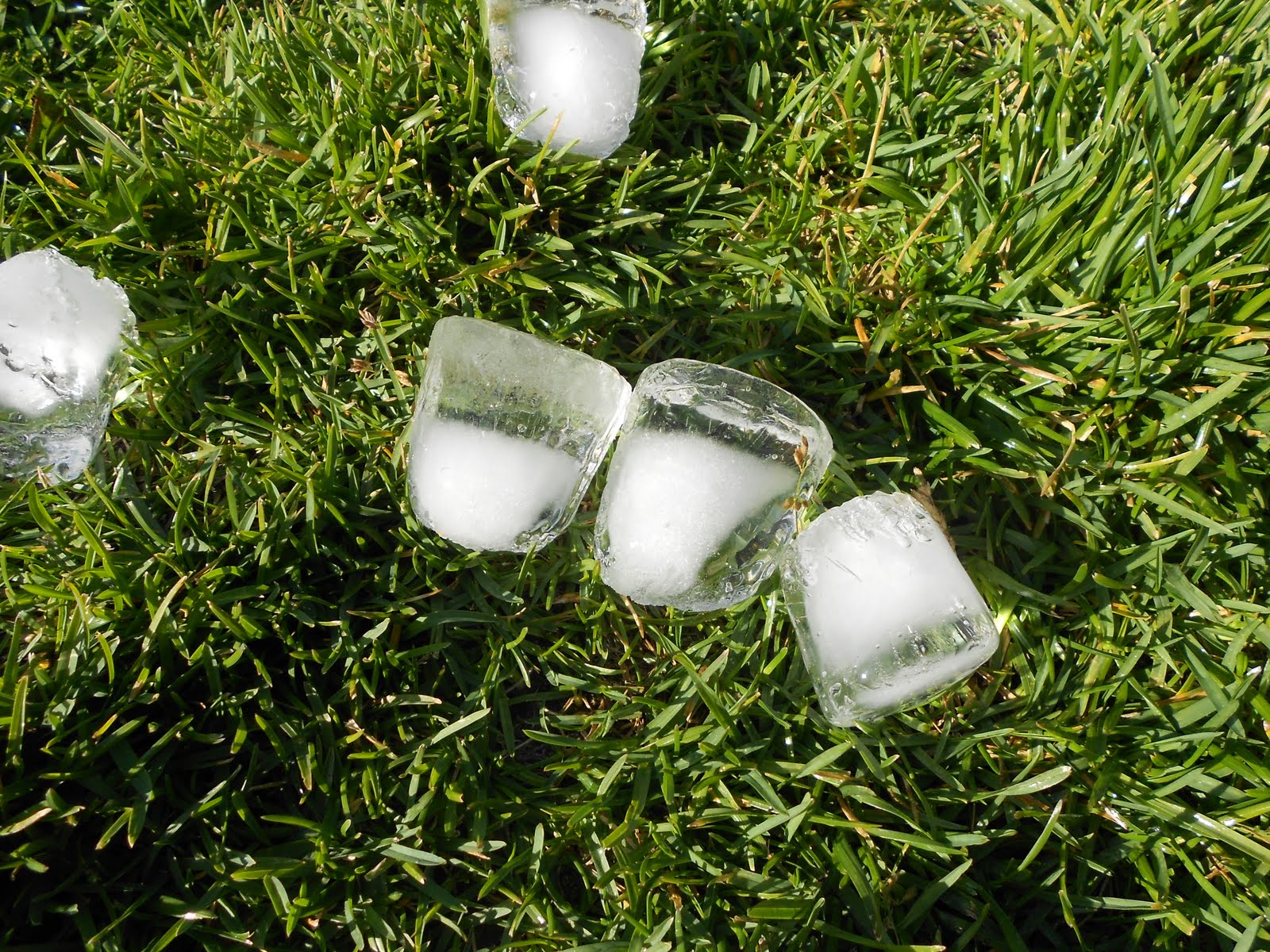 Almost Unschoolers: Science Play for Children - More With Salt And Ice