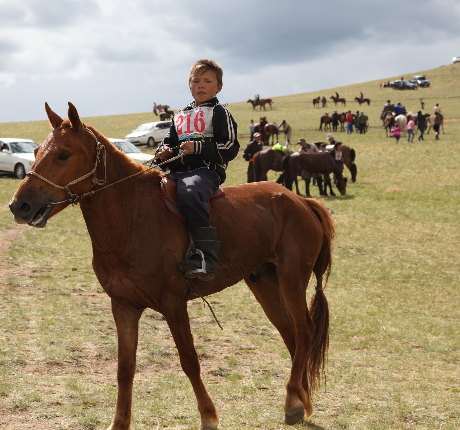 Musings in Mongolia: A vivid Mongolian horse race