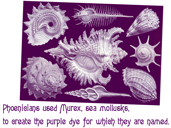 Solomons Blondes: Murex Purple Dye from Sea Shells in Phoenicia