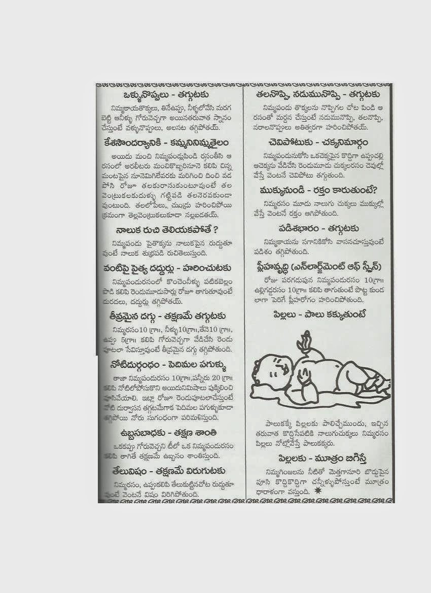 AYURVEDAM - ఆయుర్వేదం: DR . ELCHURI RECIPES WITH LEMON FRUIT ( NIMMA ...