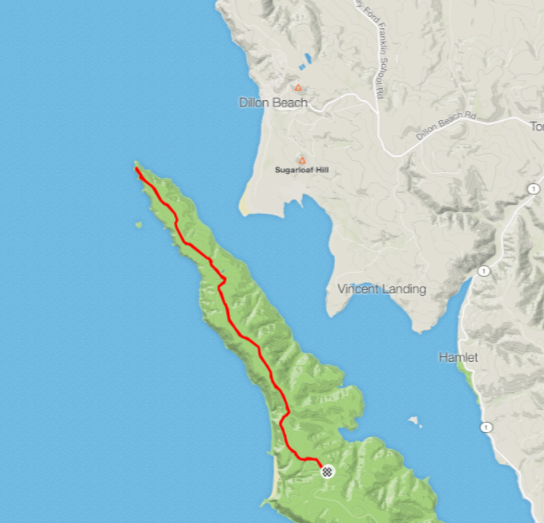 Tomales Point Trail in Point Reyes: Elk, Sun, and Sand