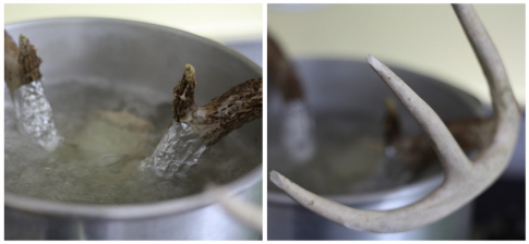 How to Clean and Wall Mount Deer Antlers | 17 Apart