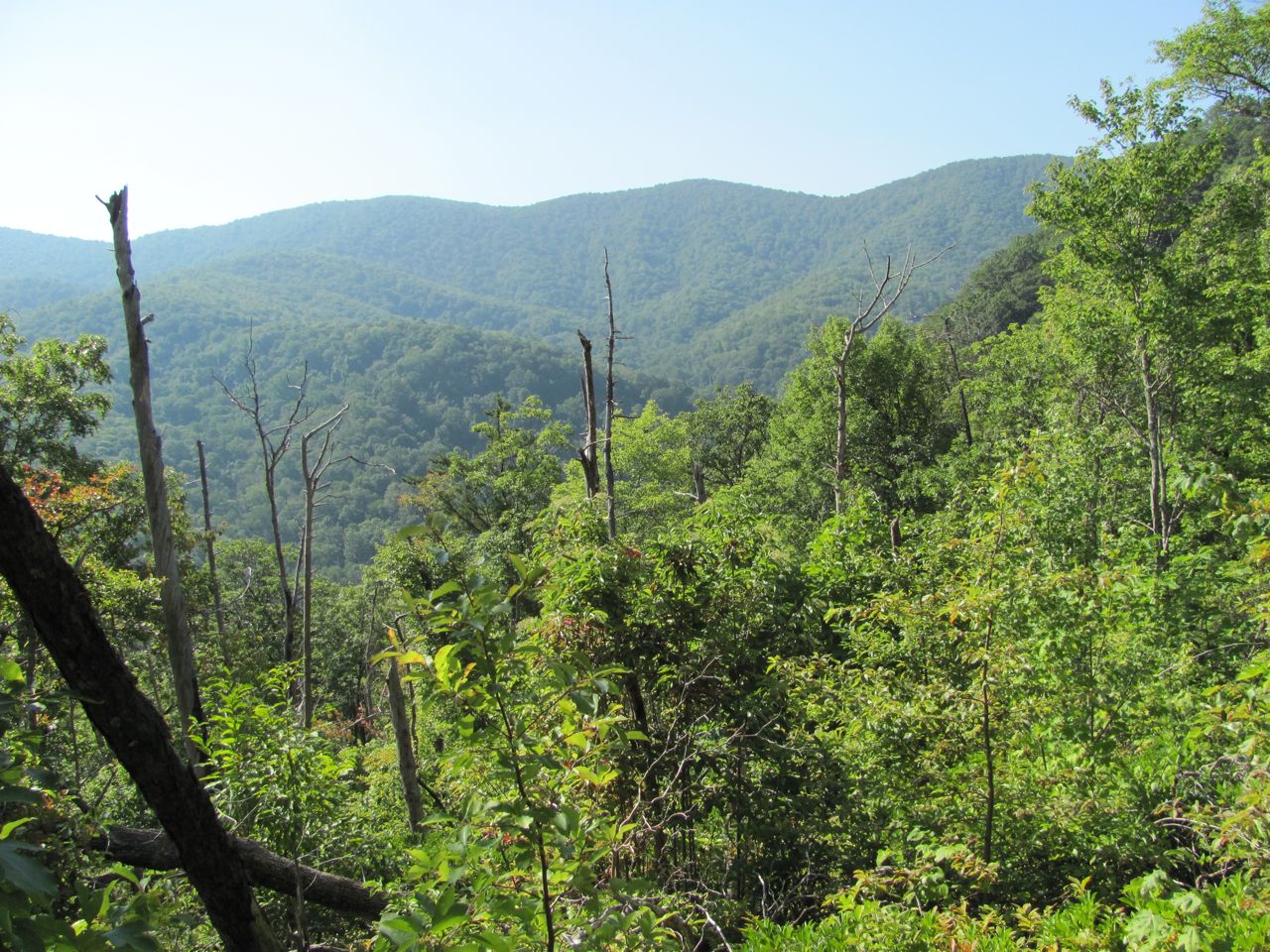 Blue Roads to Hiking Trails: Gregory Ridge Trail