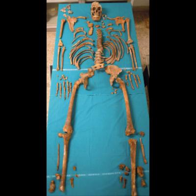 Khentiamentiu: Skeletons Of Two Possible Eunuchs Discovered In Egypt