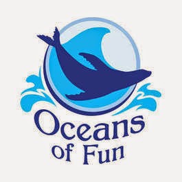 The Middle Flipper: THE Mystery of The Field: How To Become A Trainer ...